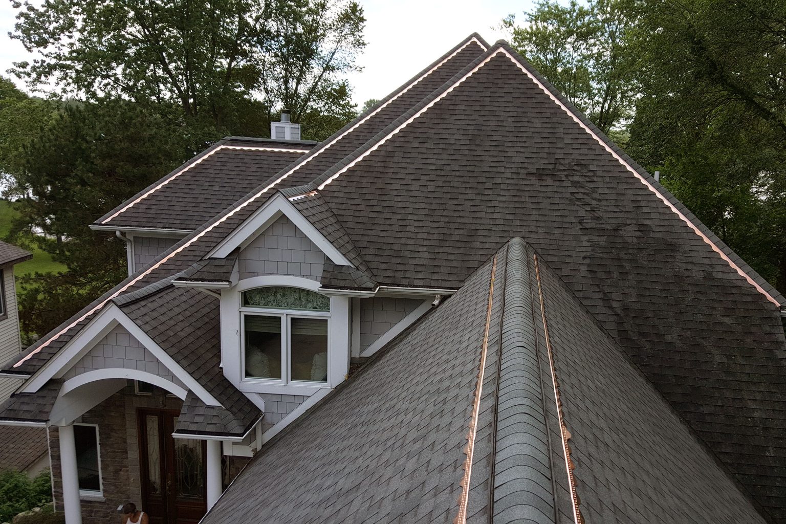 Algae Terminator by Copper Cat® - Surrey Cedar - Lumber, Panels, Siding ...