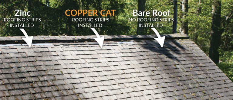 Algae Terminator by Copper Cat® - Surrey Cedar - Lumber, Panels, Siding ...